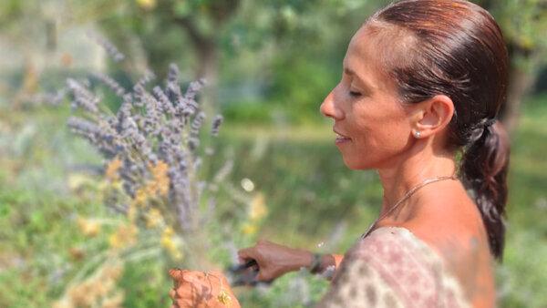 Cosa fare a Molveno? Scopri Molveno, i suoi hotel, accoglienza ed eventi