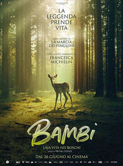 Cosa fare a Molveno? Scopri Molveno, i suoi hotel, accoglienza ed eventi